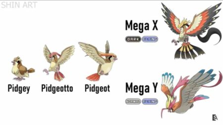 Bird Pokémon - A Comprehensive Manual to Feathered Wonders of the ...