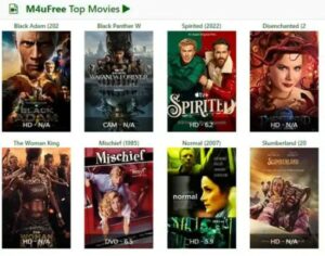 31 FreeTubeSpot Alternatives for 2024: Your Gateway to Unlimited Movie ...