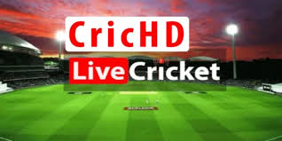 41 Best Crichd Alternatives for 2024 That Every Sports Fan Needs to ...