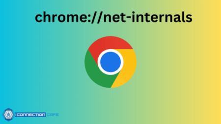 chrome://net-internals/#dns: Clearing DNS Cache On Chrome - Connection Cafe