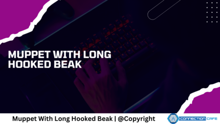 Meet the Muppet With The Long Hooked Beak