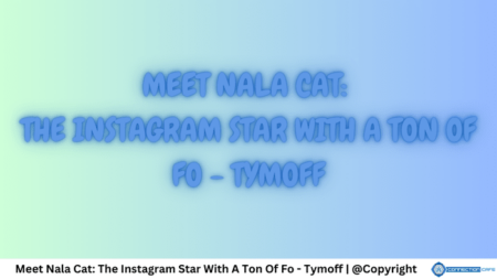 Meet Nala Cat: The Instagram Star With A Ton Of Followers - Tymoff