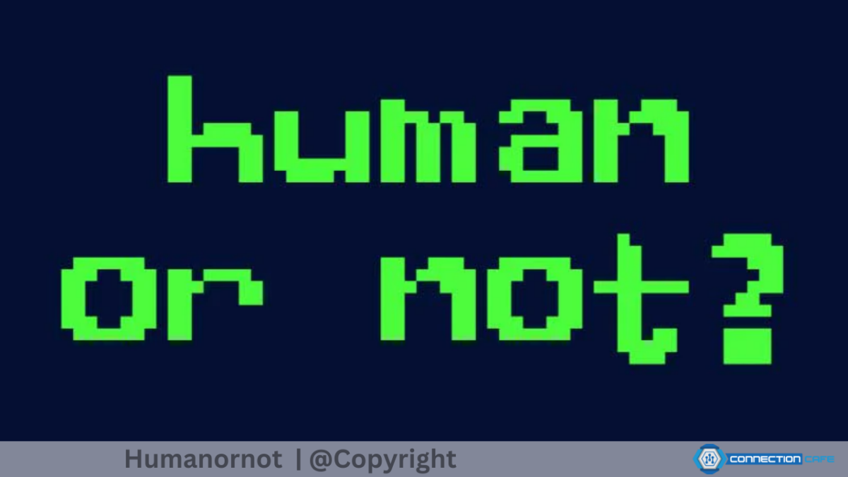 What Is Human or Not AI?