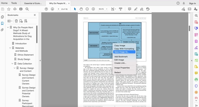 How to Copy Image from PDF? (Easy Methods)