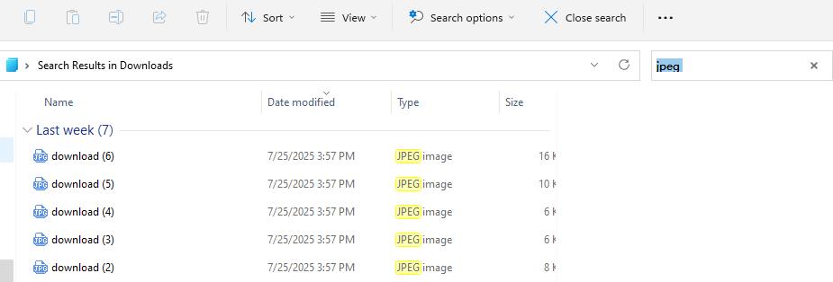 How to Organize Downloads Folder and Eliminate Duplicates - Connection Cafe
