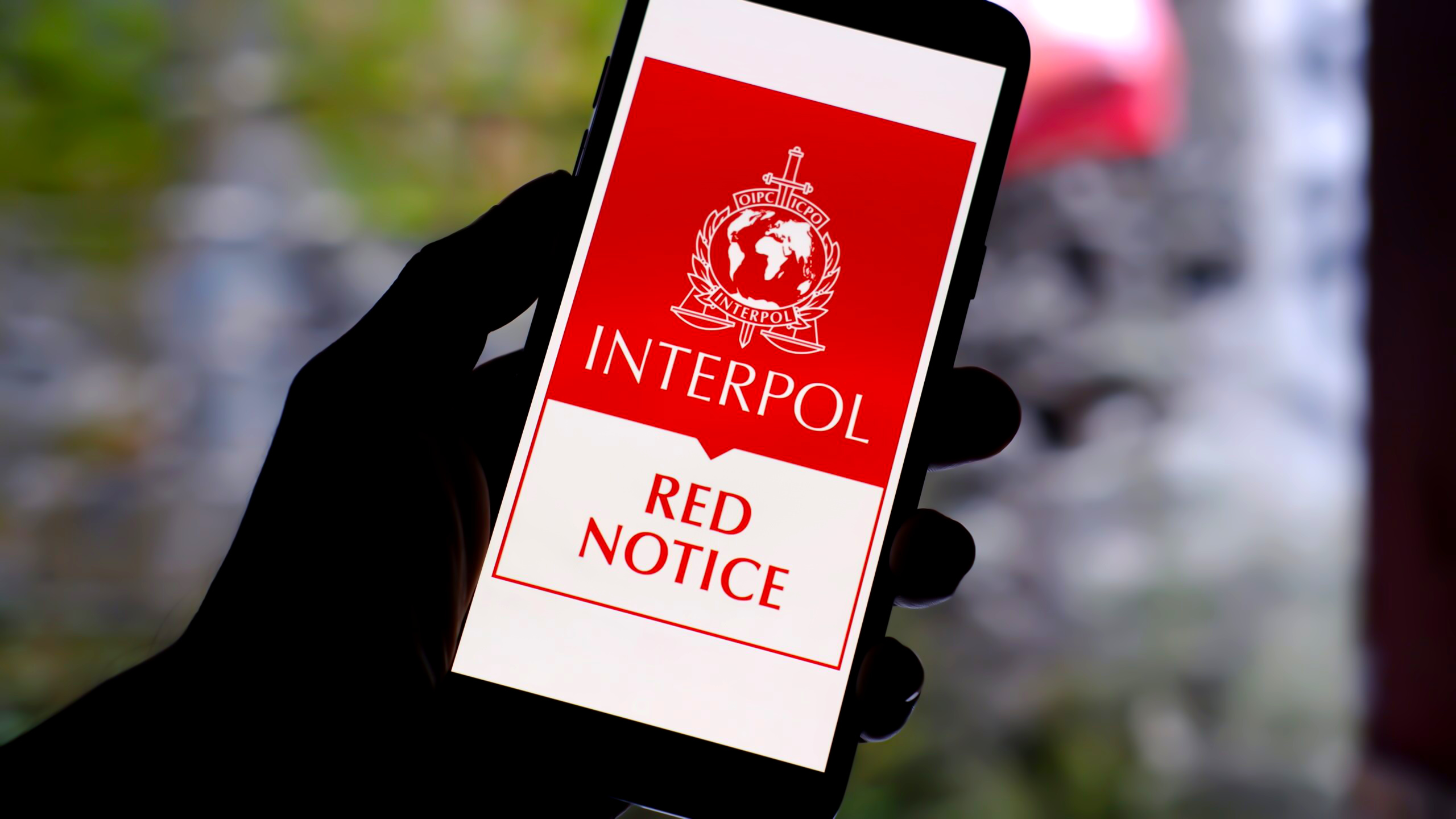 What You Should Know If You’re Facing an INTERPOL Red Notice ...